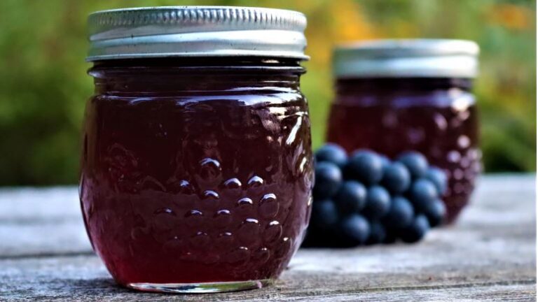Wild Grape Jelly - Brenda Gantt Recipes